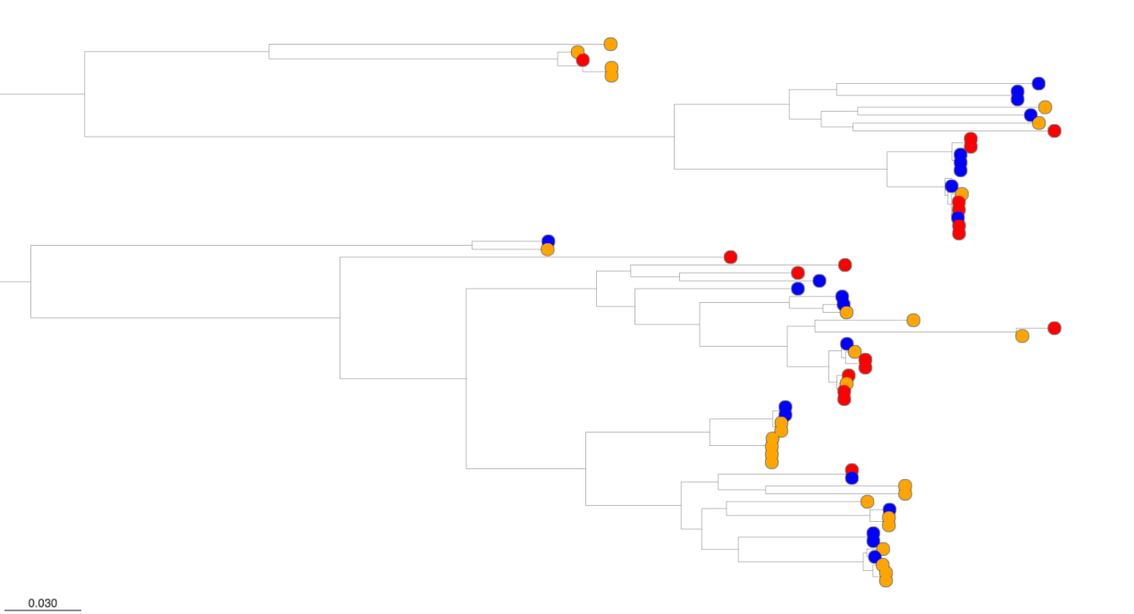 Showing Metadata Alongside A Phylogenetic Tree The Microreact Cookbook